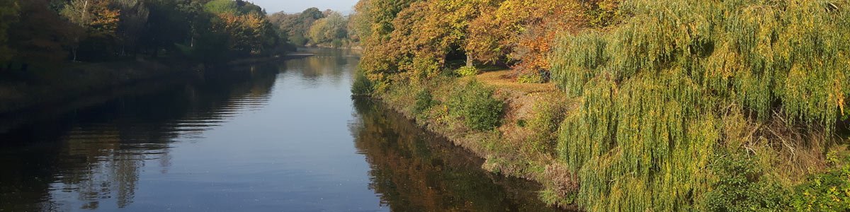 Nature Recovery Action Plan - Wales Biodiversity Partnership