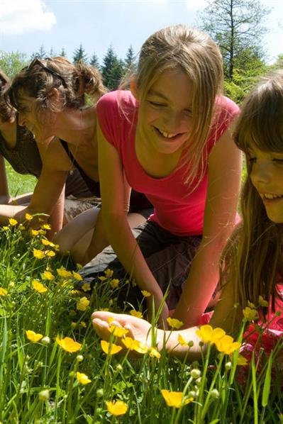 Home - Wales Biodiversity Partnership
