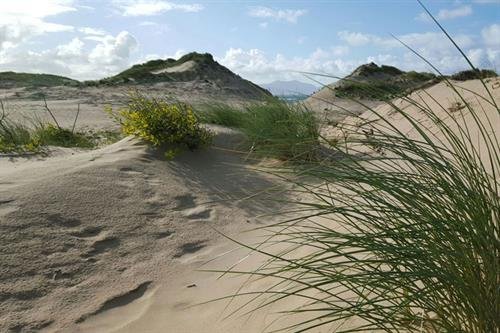 Biodiversity in Wales - Wales Biodiversity Partnership