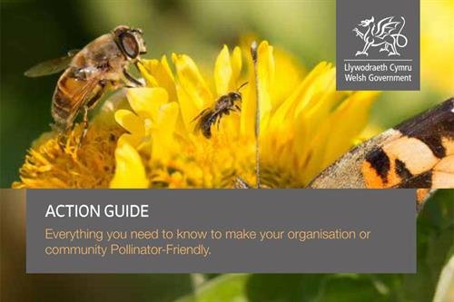 Bee Friendly - Wales Biodiversity Partnership