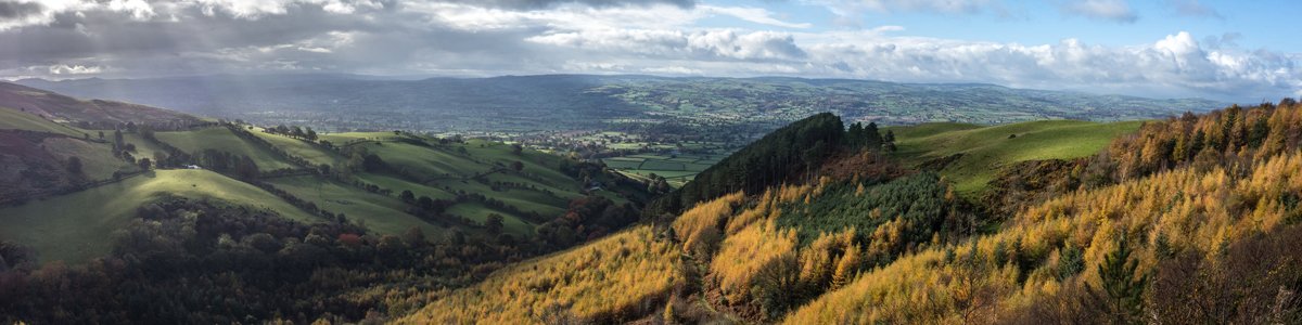 Environment (Wales) Act - Wales Biodiversity Partnership